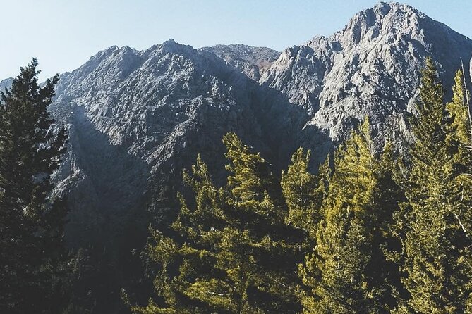 For the Wild Ones: White Mountains & Samaria Gorge Sightseeing - Authentic Experiences and Authenticity