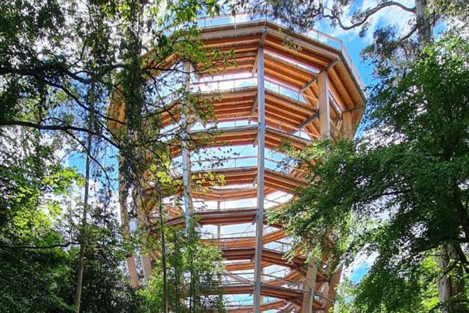 From Dublin: Wicklow, Glendalough, Waterfall & Sheepdog demo - The Practical Side: Transportation, Timing, and Group Dynamics