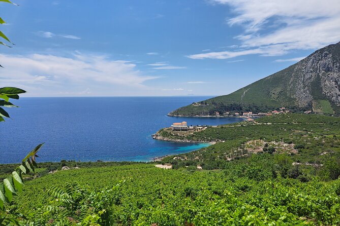 From Dubrovnik: Peljesac Wine Tasting Private Tour - Practical Details