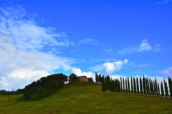 From Florence to Siena - San Gimignano & Pisa by private minivan - FAQ