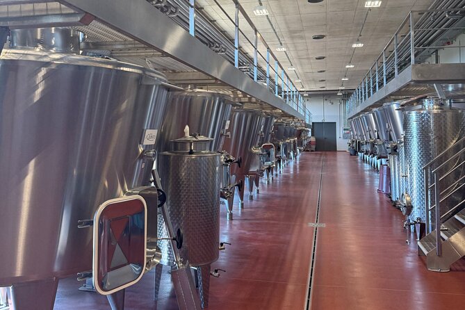 From Rome: Hidden Tuscany Day Trip with Lunch and Wine Tastings - Authentic Perspectives from Travelers