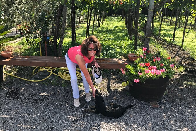 Full Day Private Tour in Pompeii, Vesuvio and Sorrento - In The Sum Up: Is It Worth It?