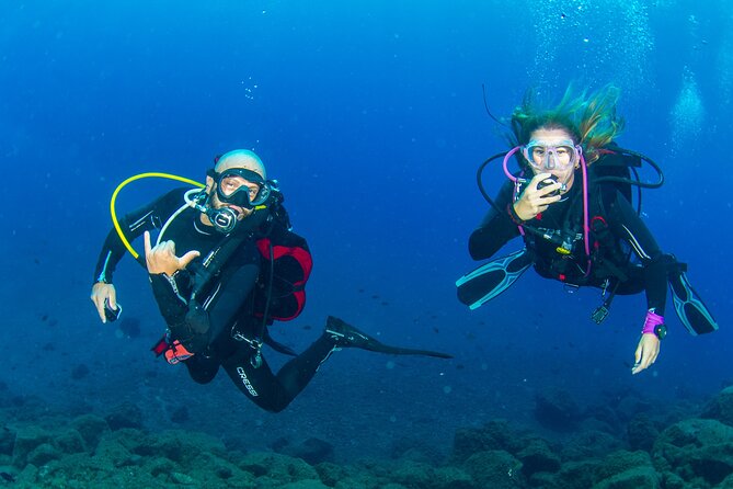 Guided Immersion from Santa Cruz de Tenerife - Pricing and Value