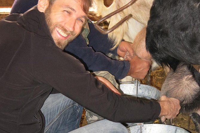 Halloumi Heaven: Cheese-Making Class & Troodos Mountain Villages 8h - The Real Value for Food Lovers and Culture Seekers