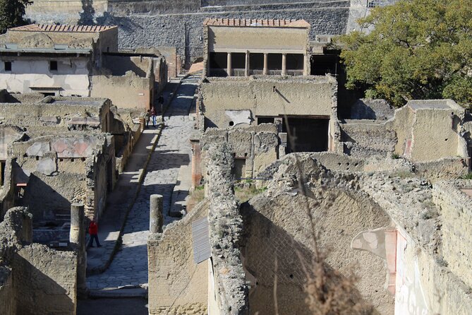Herculaneum Private Guided Tour Led by a Local Top-rated Guide - All inclusive - What Not Included