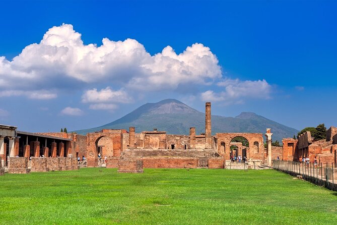 Herculaneum, Vesuvius and Pompeii Full Day Tour from Naples - Who Is This Tour Best For?