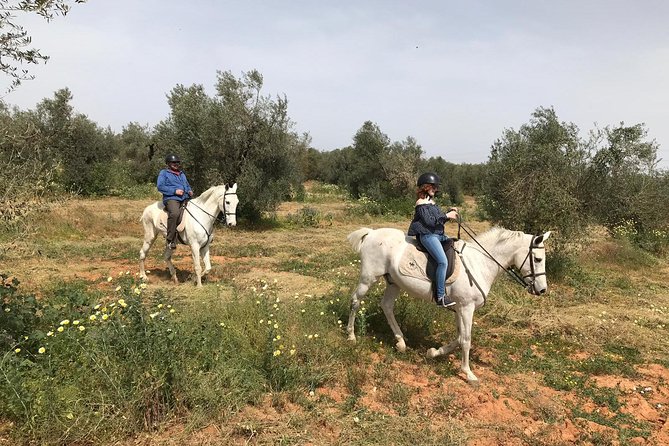 Horse Riding Excursion from Seville - Authentic Experiences Highlighted by Travelers