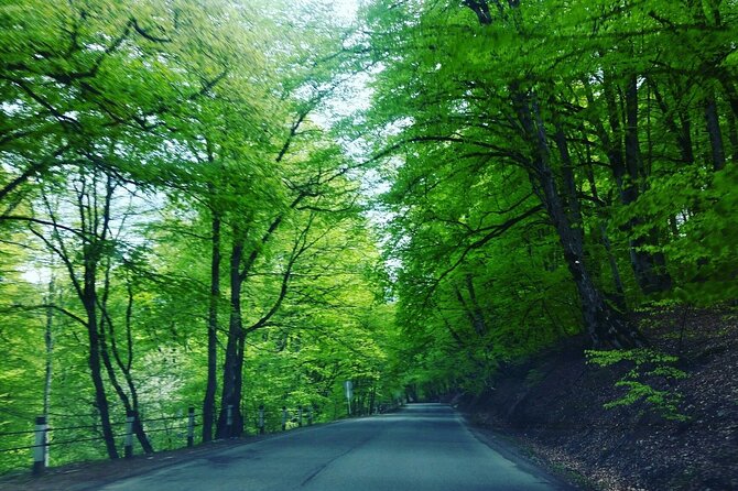 Kakheti Region Khareba Winery Telavi City Gremi Castle Day Tour - The Sum Up