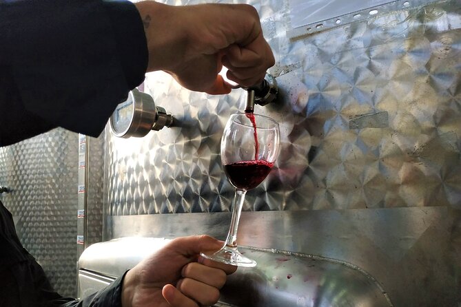 Kakheti Wine Tour with 20+ Wine Tastings & Qvevri Masterclass - Authentic Experiences and Authenticity