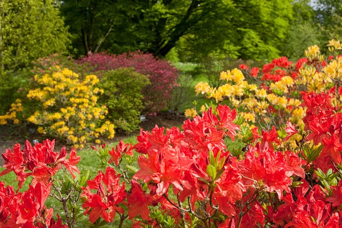 Kew Gardens Entrance Ticket - FAQ