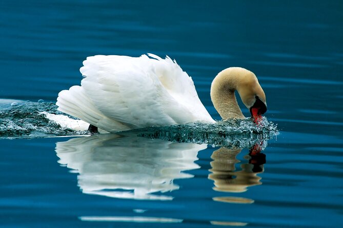 Krka National Park and Skradin - The Realities of the Experience