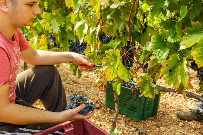 Krka Waterfalls & Dalmatian delights from Split or Trogir - FAQs about the Krka Waterfalls & Dalmatian Delights Tour