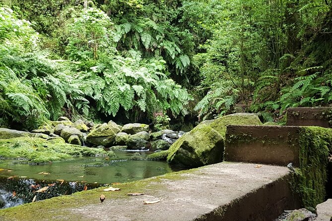 Levada do Rei - Ribeiro Bonito (Full Day Walk) - Frequently Asked Questions