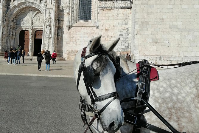 Lisbon Layover - Final Verdict