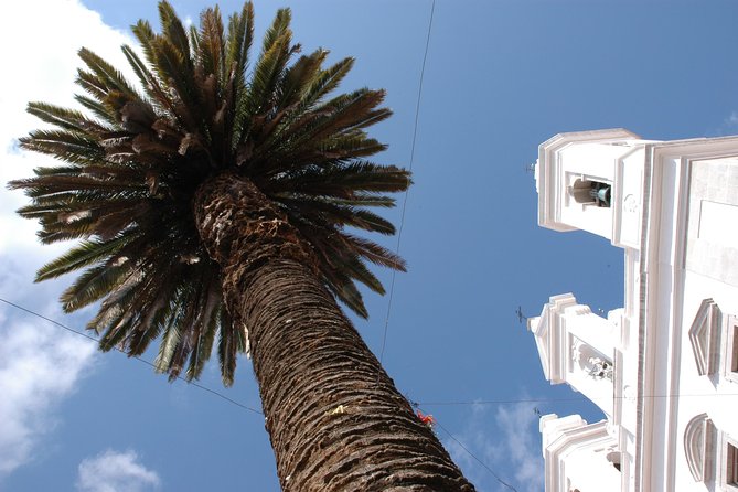 Lisbon Old town Tour - What Travelers Say