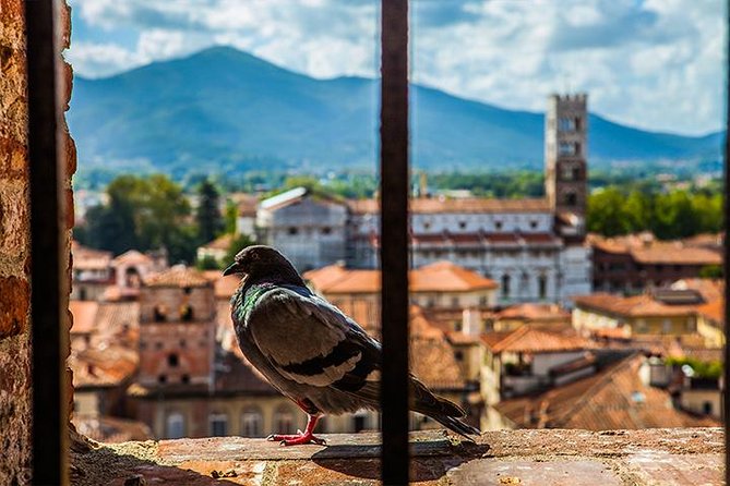 Lucca and Pisa Day Tour from Rome - FAQs