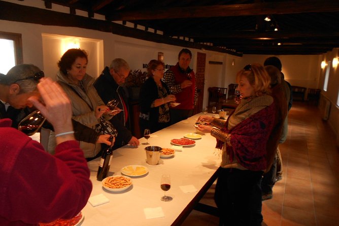 Medieval Castles, Wineries Experience with Tasting from Madrid - Ideal for Who?
