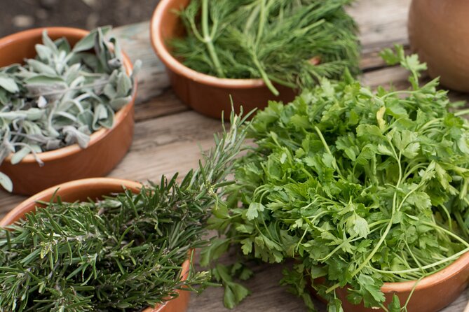 Minoan Menu in a Minoan way - Group Size and Practicalities