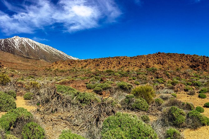 Mount Teide and Tenerife North with 5 Course Tasting Menu Private Tour - Who Would Love This Tour?