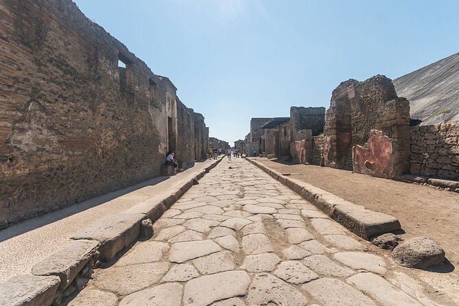 Naples transfer to Pompeii guided tour and Back - After the Tour: Return to Naples