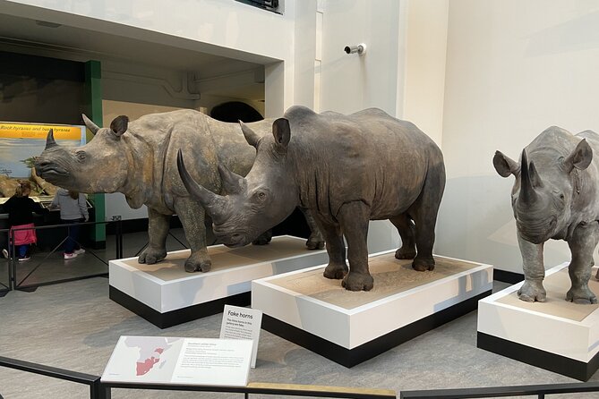 Natural History Museum Self-guided Tour for Kids in English - Authentic Experiences from Other Travelers