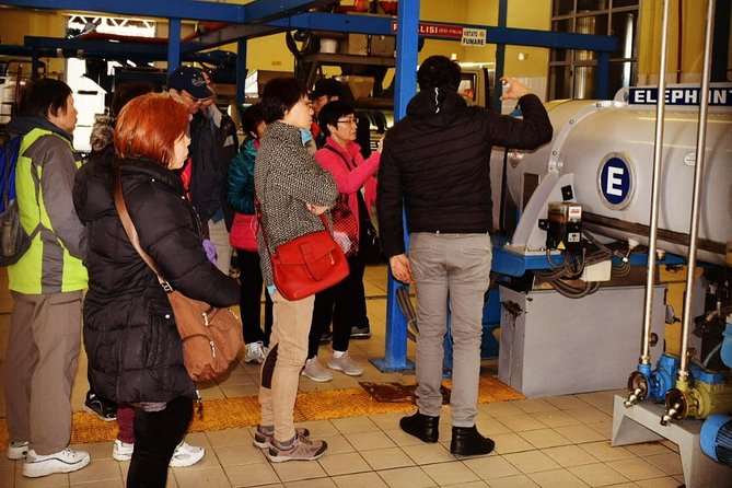 Olive Oil Experience - The Bottom Line: Who Should Sign Up?