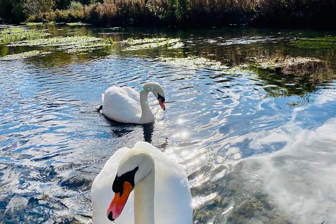 One Day Road Trip from London to The Cotswolds - The Authentic Feel and Authenticity