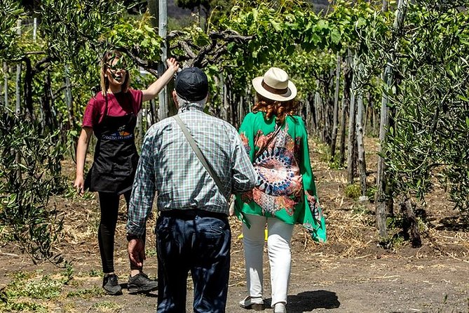 Organic Wine Tasting & Lunch on Vesuvius with Transfer from Sorrento Peninsula - FAQ