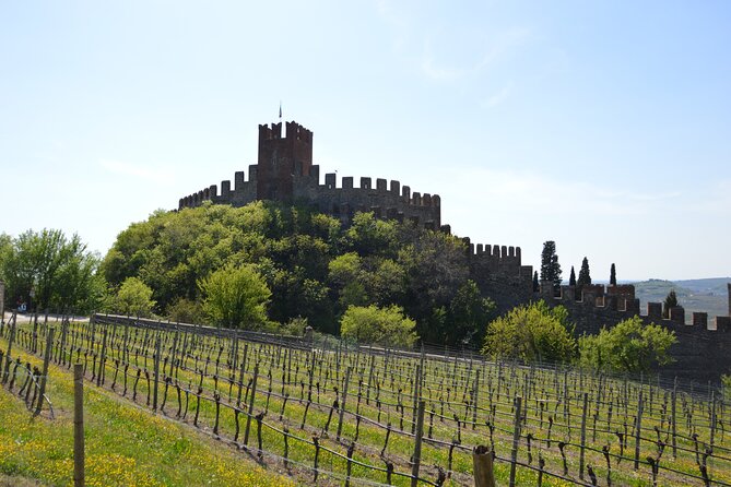 Pagus Wine Tours® - Soave and Amarone - Half day wine tour - What Past Travelers Say