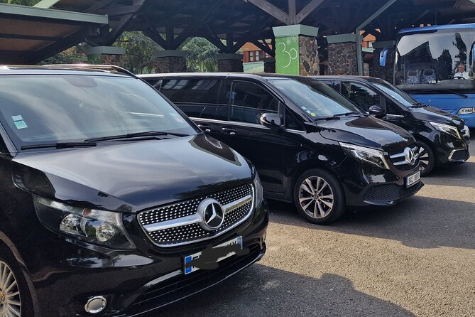 Paris Private City Tour Experience - FAQ