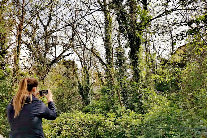 Photography route through the secret nature of Barcelona - Exploring the Pantano de Vallvidrera and Its Ecosystem