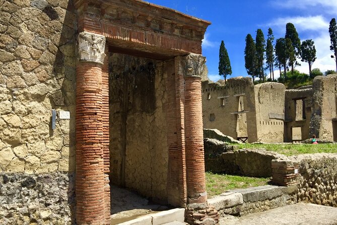 Pompeii and Herculaneum Daily Tour from Naples - Who Should Consider This Tour?