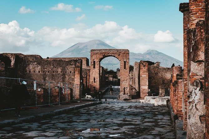 Pompeii and Mount Vesuvius Day Trip from Naples with Lunch - Authentic Traveler Insights