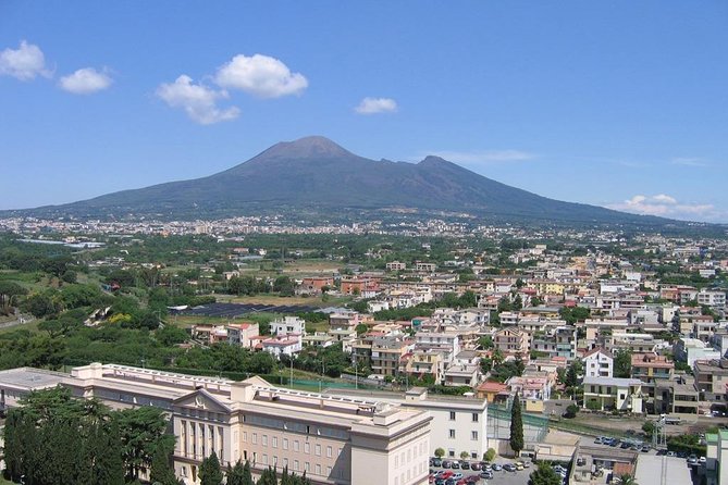 Pompeii ruins, Positano and Sorrento full day tour - FAQ