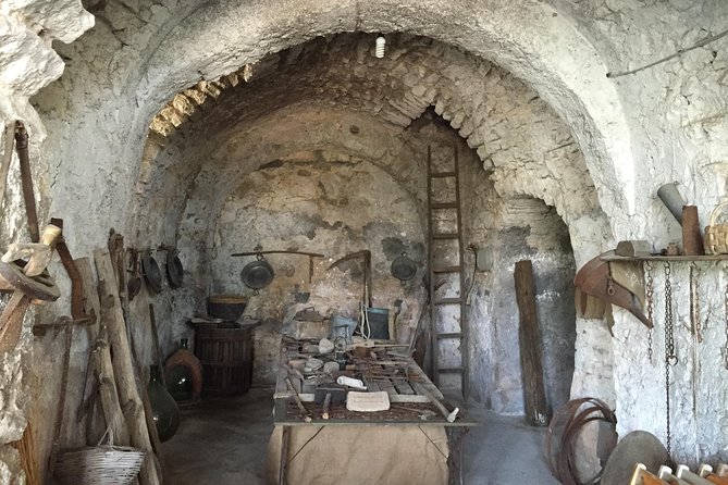 Pompeii-Wine tasting tour from Sorrento, licensed guide included - The Winery and Local Flavours