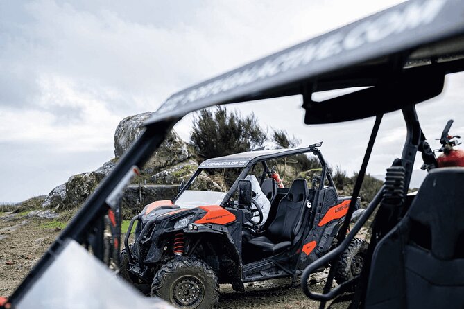 Premium Buggy Experience in Ponte de Lima - Practical Details & Tips