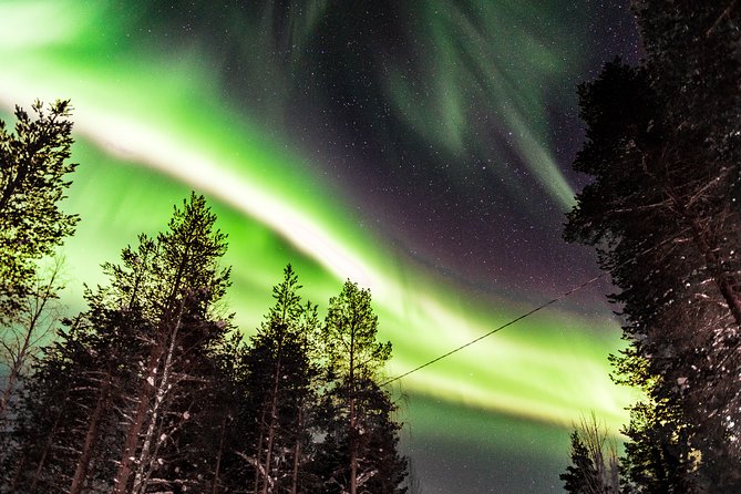 Private Aurora Tour (5 or more) by Aurora Experts - Rovaniemi - Final Thoughts: Is It Worth It?