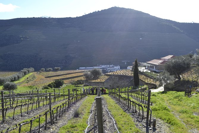 Private Douro 4x4 Adventure from Porto - What Makes This Tour a Great Choice?