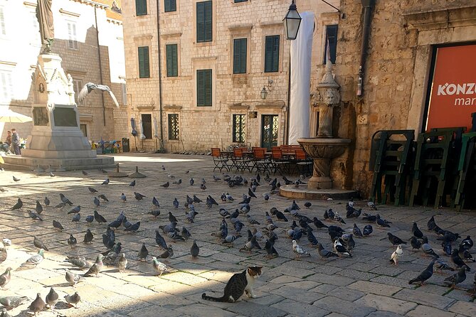 Private Fort Lovrijenac and Dubrovnik City Tour - The Baroque Finish at St. Ignatius Church