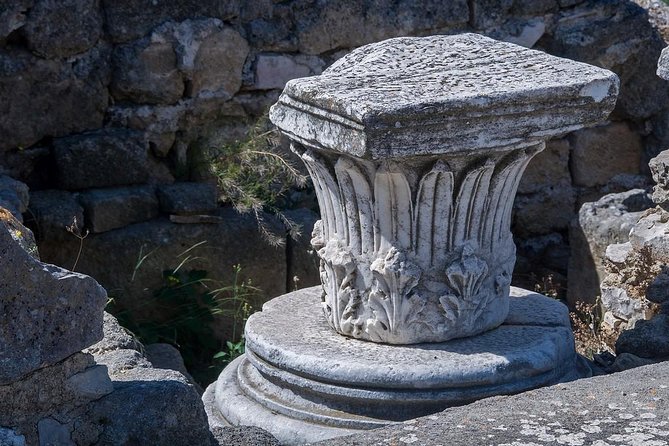 Private guide Archaeological ruins of Cannae: Hannibal's victory over the Romans - Authenticity and Guide Quality