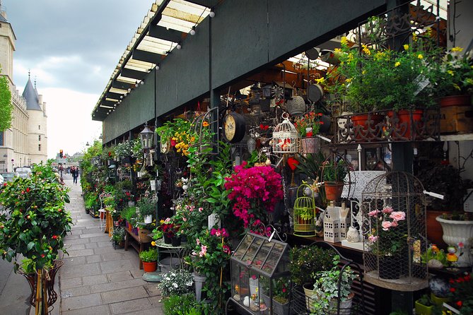 Private History Walking Tour in Paris for Teens & Family - Insights from Reviews