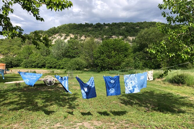 Private Introduction to plant color in Forcalquier in Provence - Practical Details: Why This Tour Works for Travelers