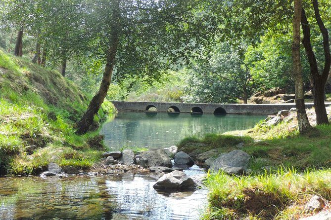 Private Jeep Tour of Marão Nature - Who Would Love This Tour?