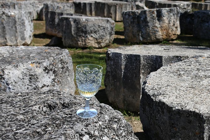 Private Luxury wine tour in Ancient Nemea and vineyards. - Final Thoughts: Who Will Love This Tour?