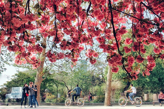 Private Photo Tour in Paris with a Professional Photographer - FAQ