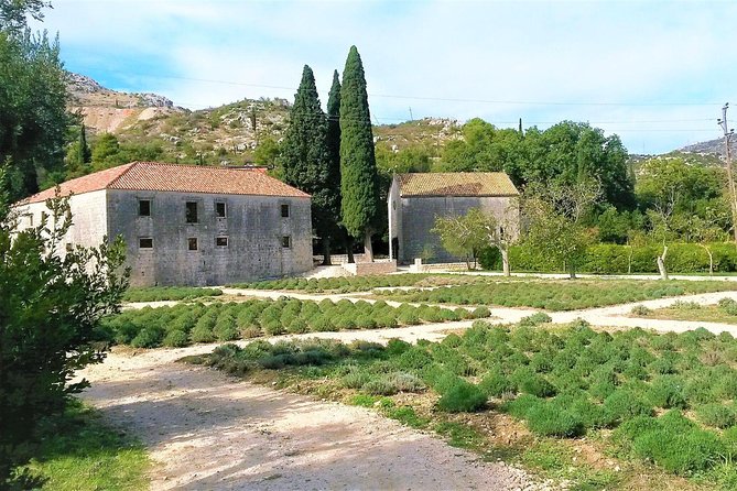 Private Tour Experience Dubrovnik Best Of Serene Views & Tales - FAQs