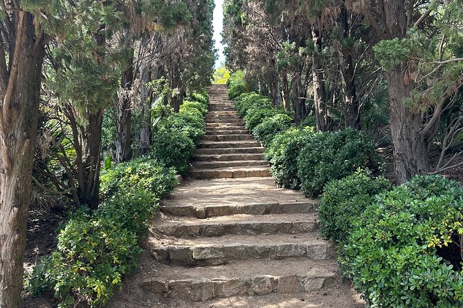 Private Tour in Marimurtra Garden and Blanes City - Analyzing the Value