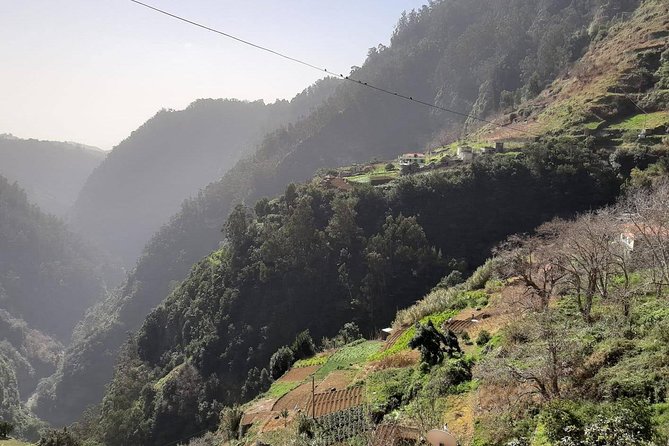 Private Tour Jardim da Serra Halfday - The Sum Up: Who Should Consider This Tour?