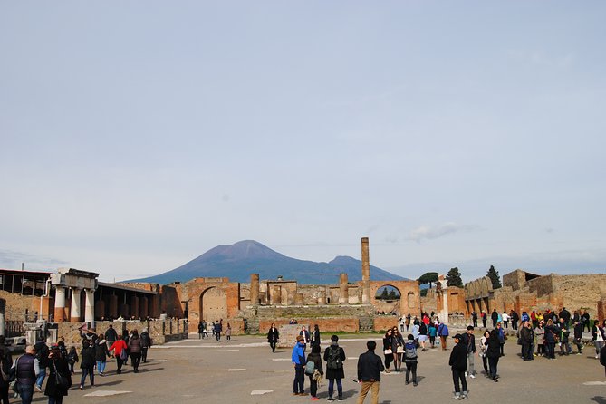 Private tour Pompeii Vesuvius and Winery from Sorrento - Practical Details and Price Analysis