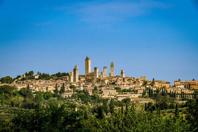 Private Tour to Siena and San Gimignano from Rome - Summing It Up: Who Is This Tour Best For?